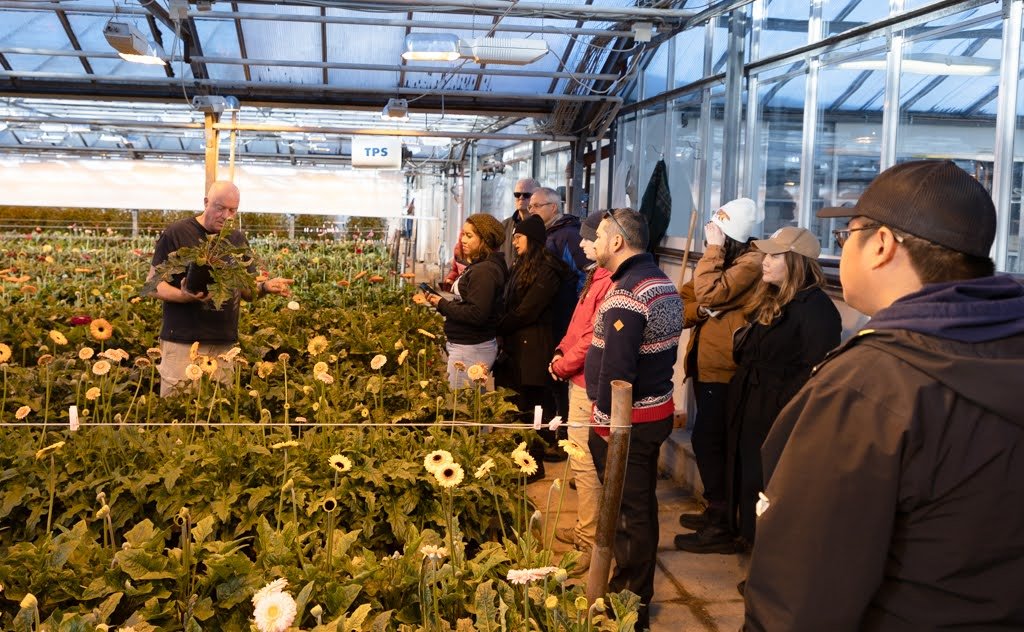 ARENA Programme in Iceland 2022 | GRÓ GTP