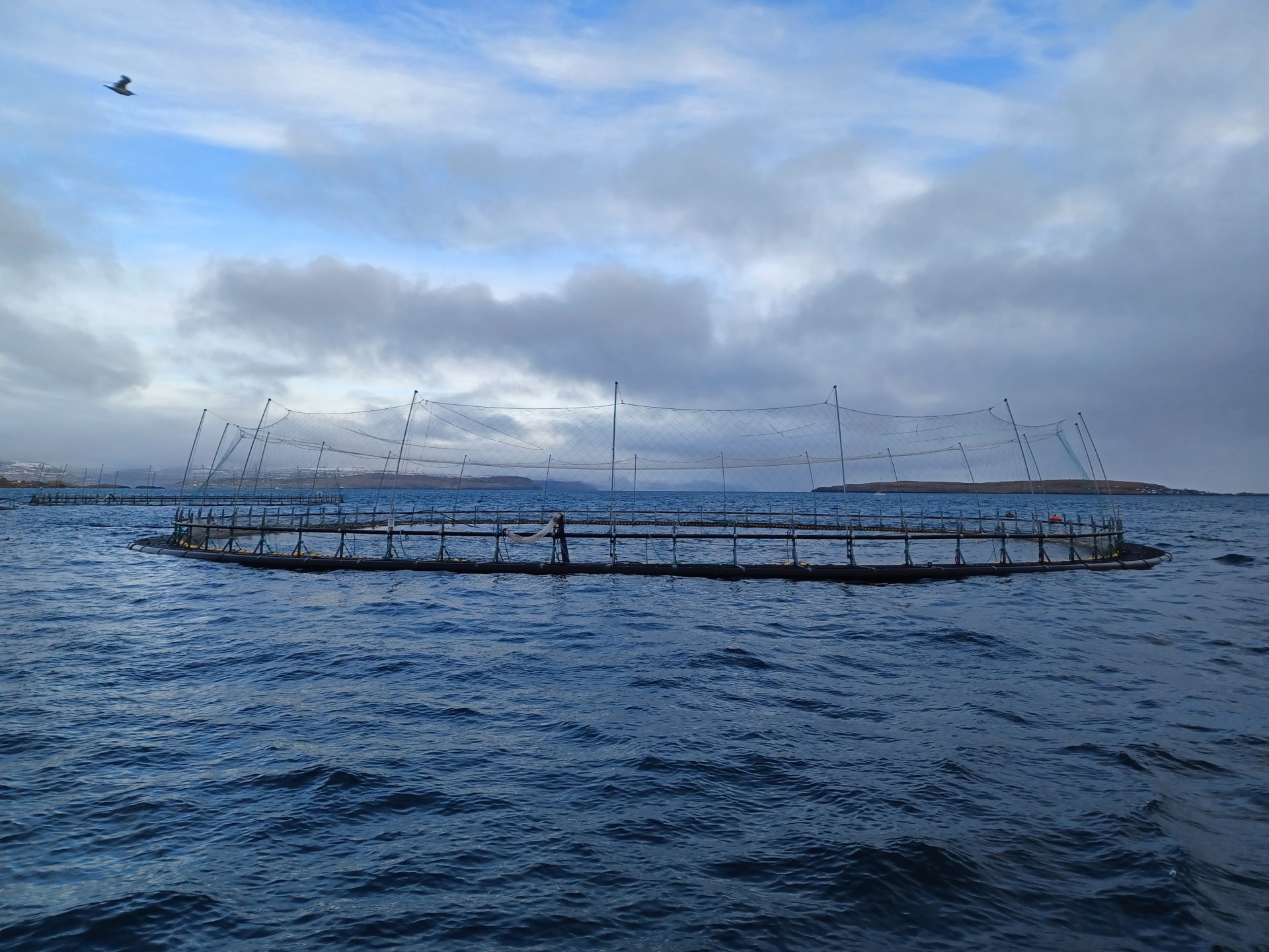GRÓ-FTP Sustainable Aquaculture fellows in Faroe Islands | Fisheries ...