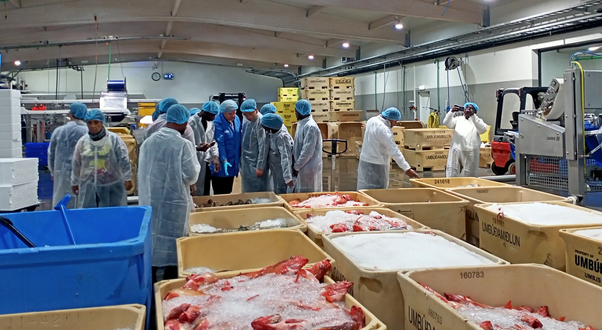 GRÓ Fisheries Training Programme Praised in External Evaluation ...